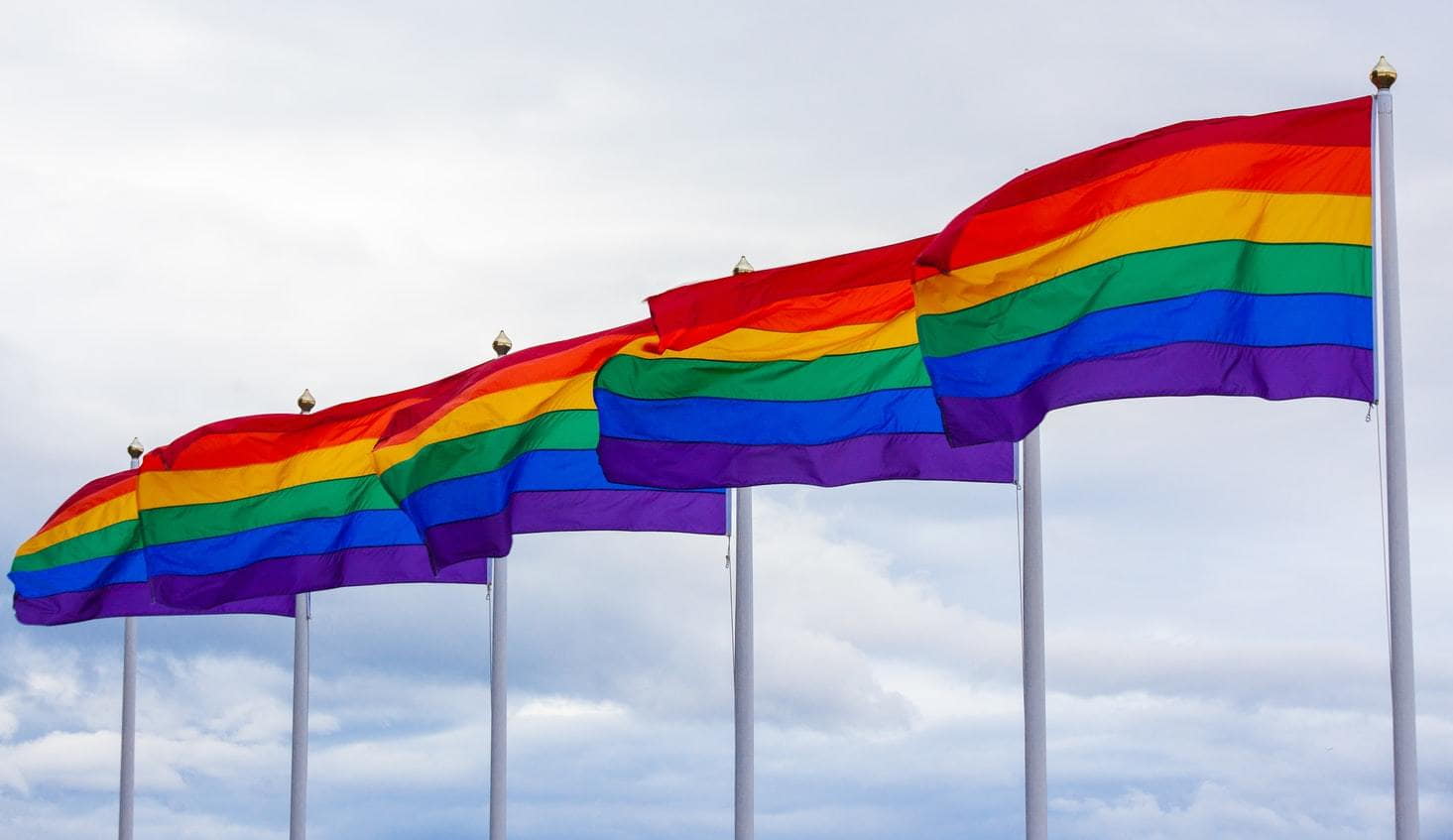 LGBTQ+ in STEM - Stem Women